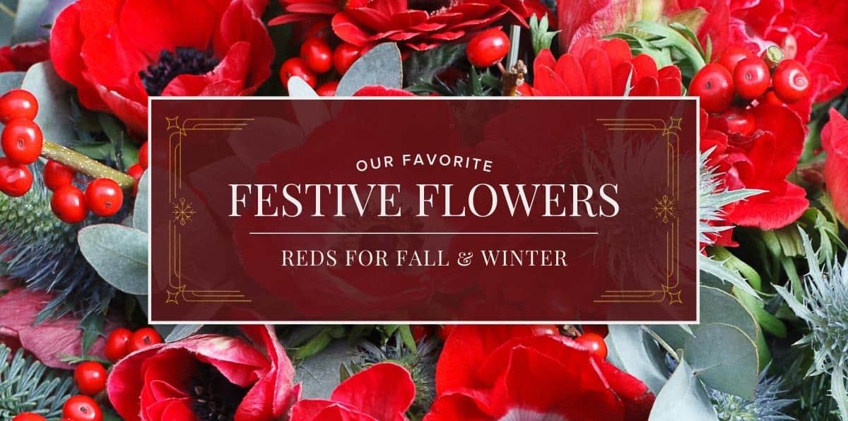 Wonderful Red Flowers for Fall and Winter Arrangements - Casas Flowers Blog