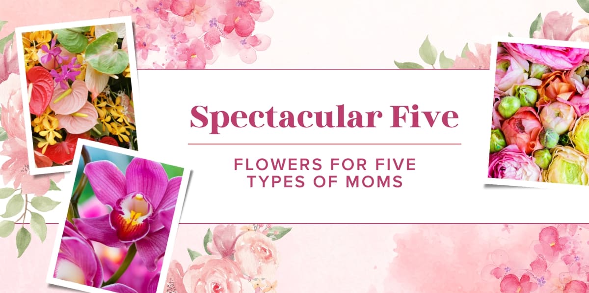 How to Pick the Best Flowers for Your Mother’s Personality - Casas ...